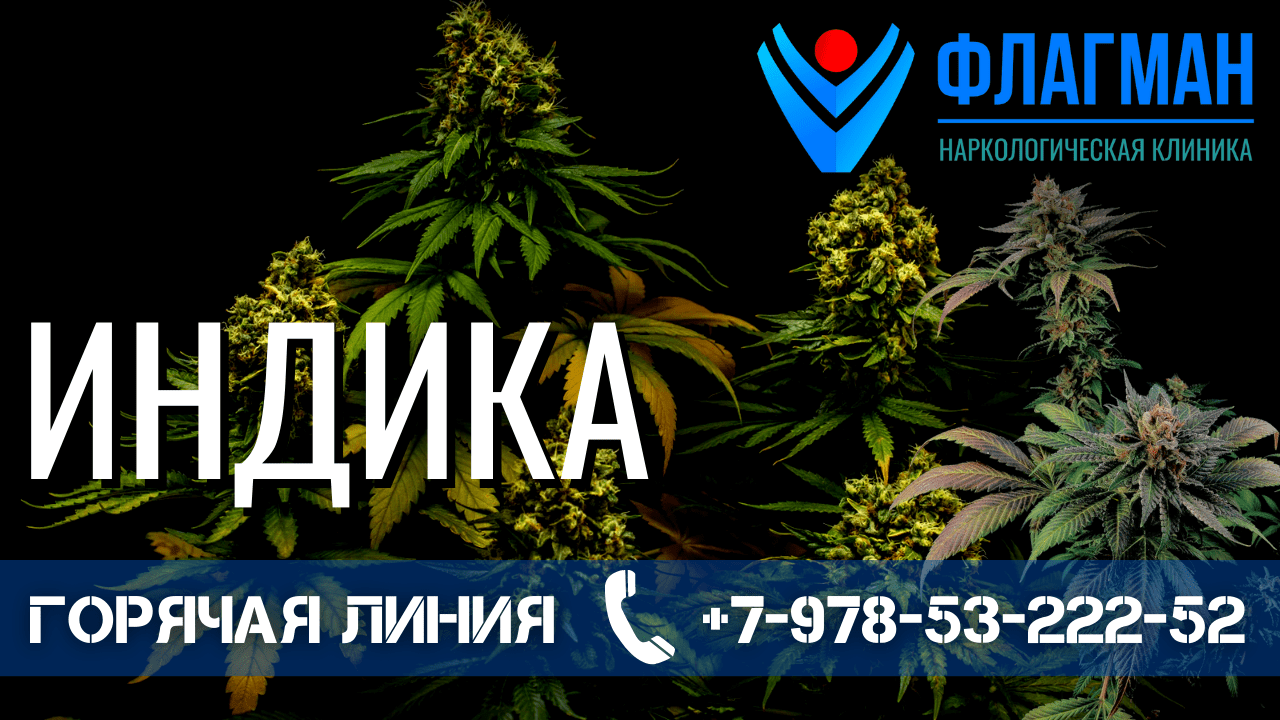 Индика – какие эффекты оказывает на психику и каков механизм влияния?
